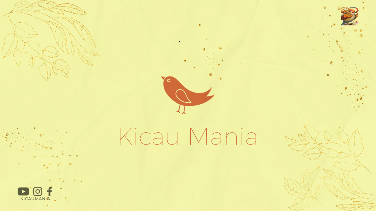 Ecommerce Personalization: Harnessing Machine Learning - Fuyu Kicaumania Ecommerce Personalization: Harnessing Machine Learning - Fuyu Kicaumania